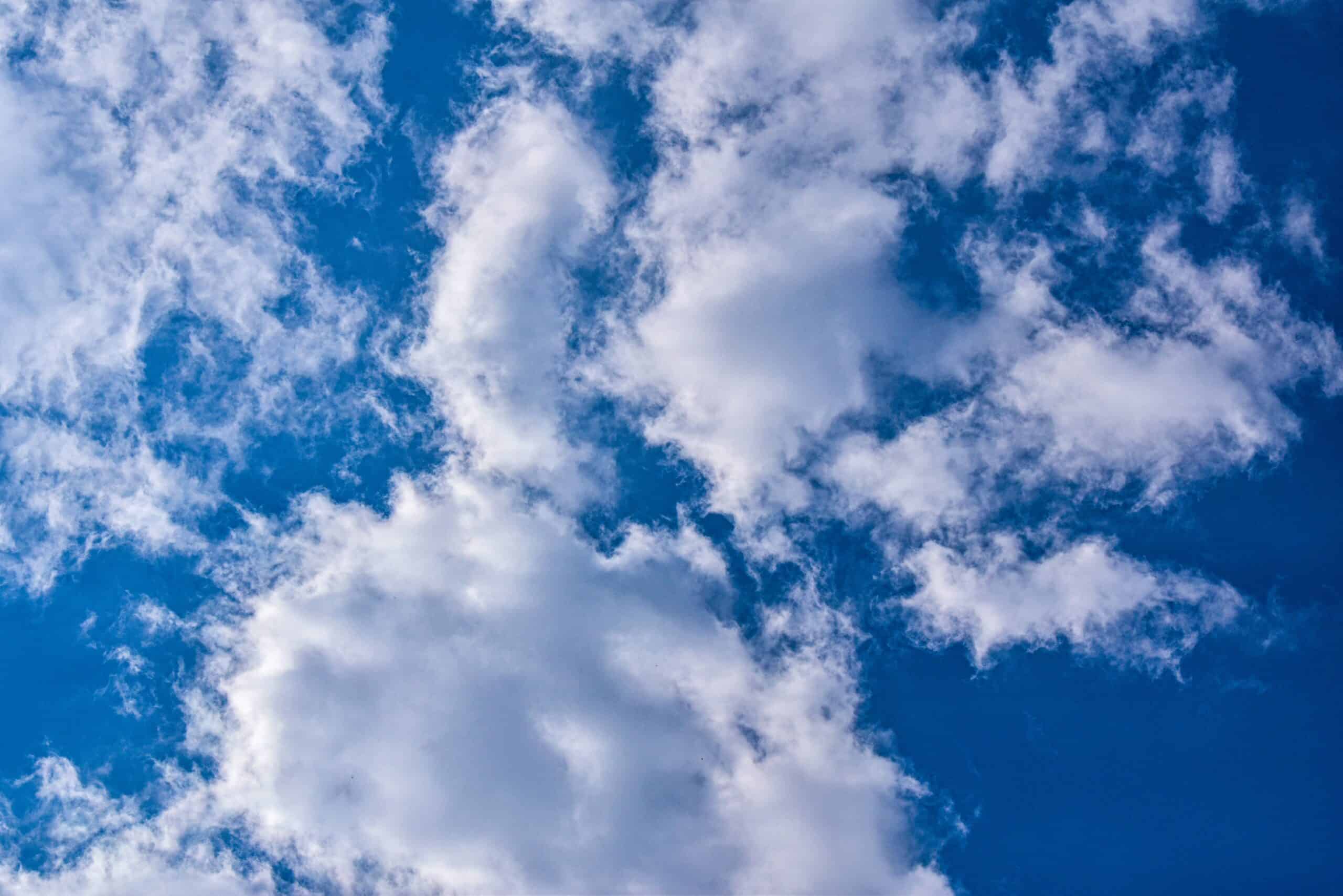 The Clean Air Act USA: A Guide to Pollution Prevention - Nestly Nifty